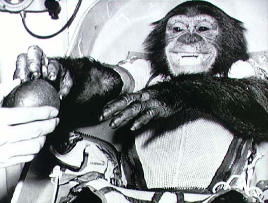 nasa monkey experiment