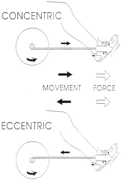 flywheel movement